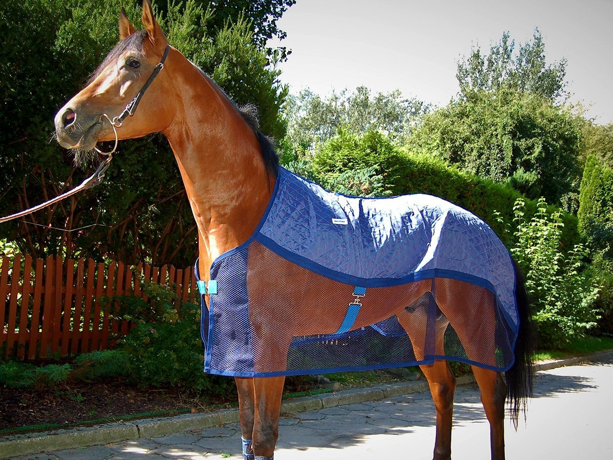 Derka chłodząca - AEROCHILL