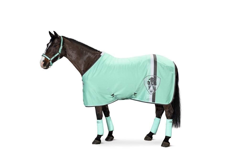 Derka Eskadron JERSEY CLASSIC SPORTS wiosna-lato 2018 - jade