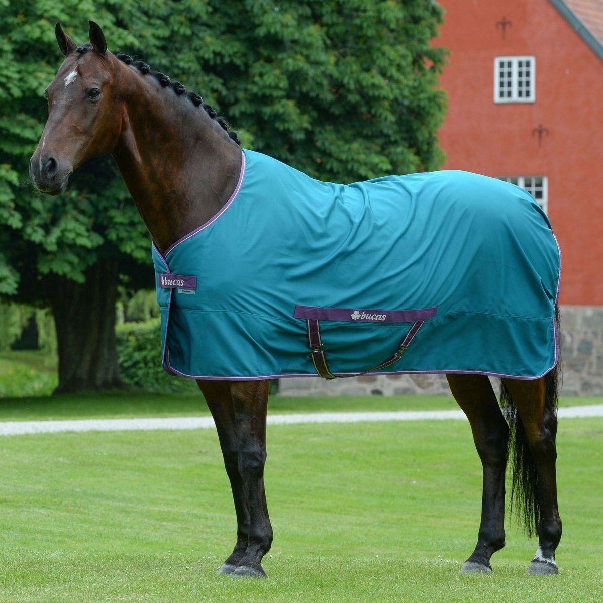 Derka letnia FREEDOM TWILL - Bucas - green/violet