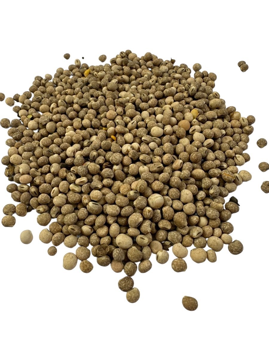 Łubin słodki DALBOR / TANGO 1kg