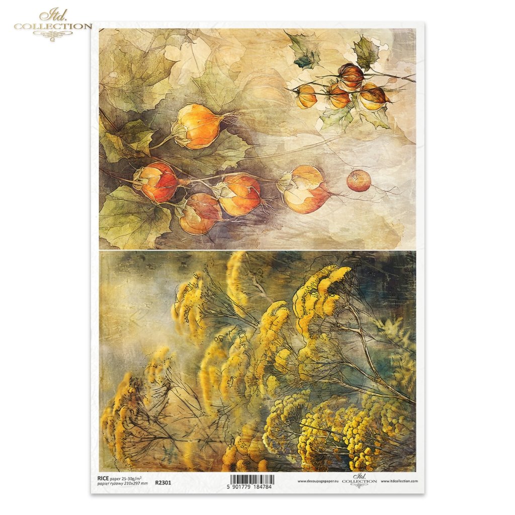 Rice paper R2301 *autumn views, plants, bellows, verticillium, autumn ...