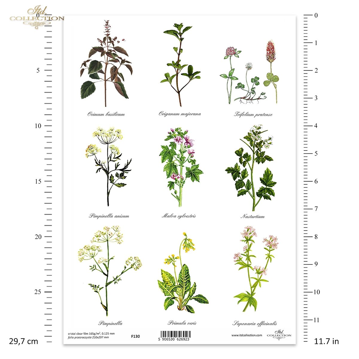 folia przezroczysta F130* zioła, kwiaty, kuchnia, przyprawy, zioła ...