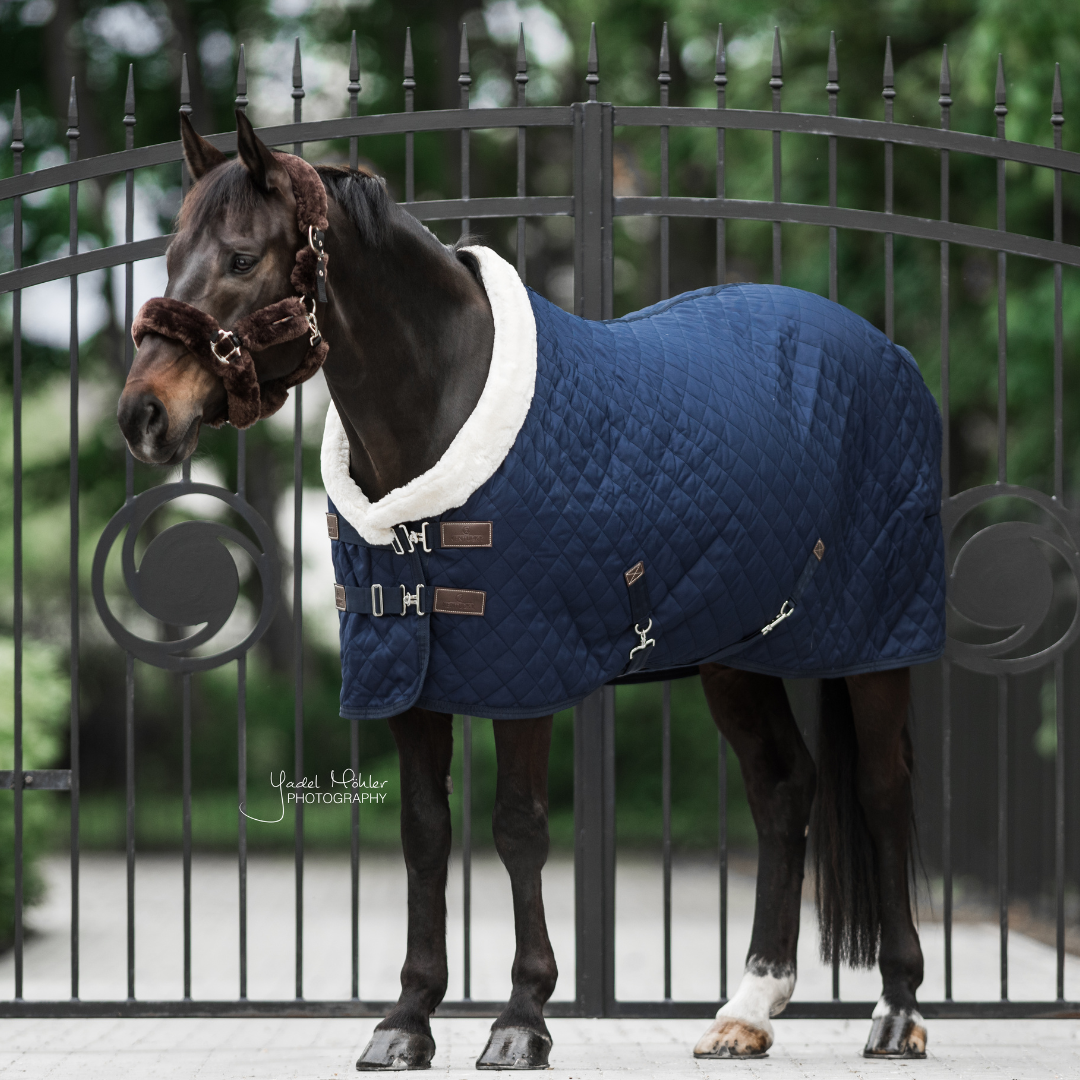 KENTUCKY SHOW RUG Derka stajenna 160g - Stajenne - DERKI - KOŃ