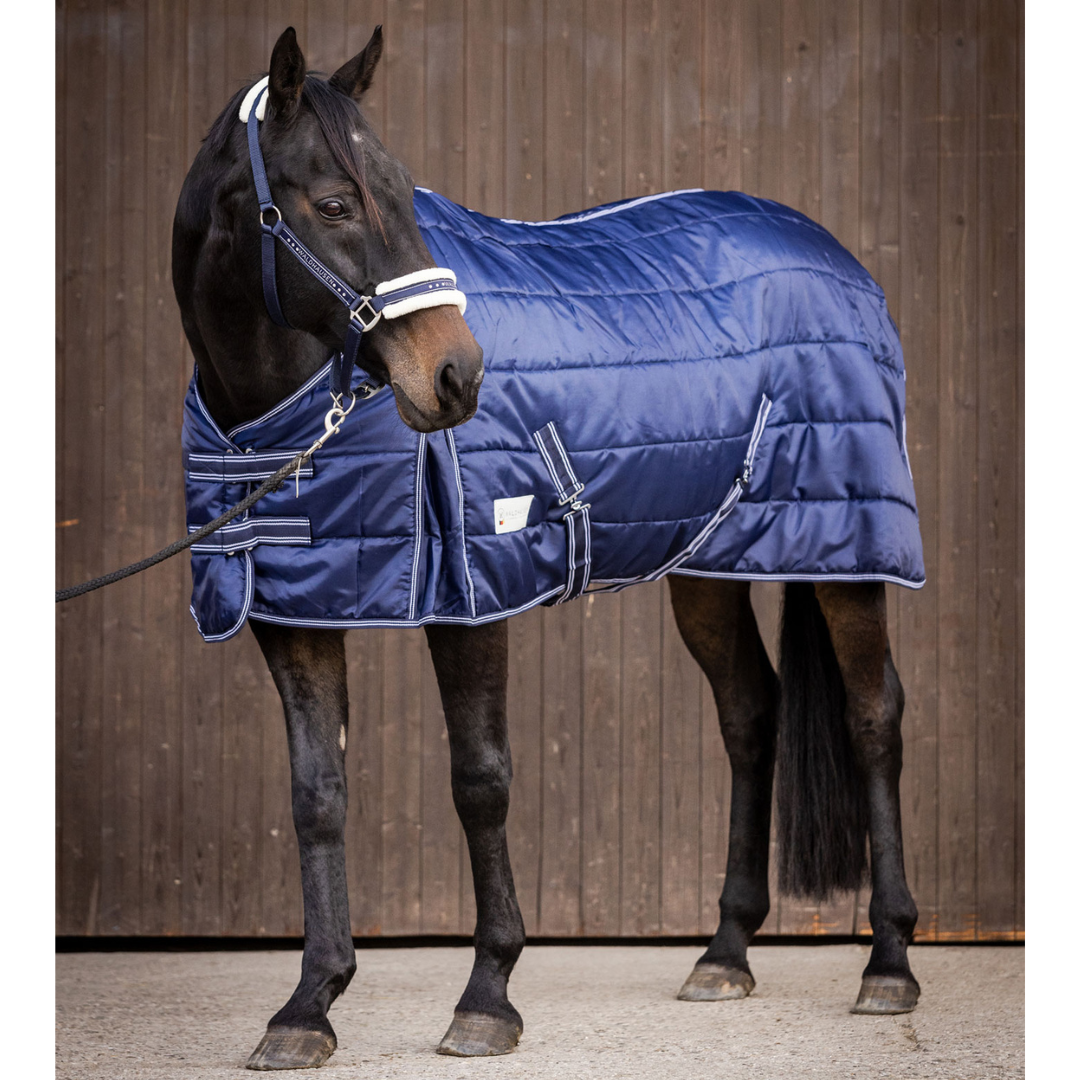 WALDHAUSEN ECONOMIC Derka stajenna 200g