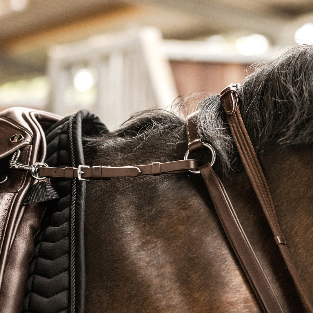 WALDHAUSEN X-LINE PROFESSIONAL Skórzany napierśnik z wytokiem