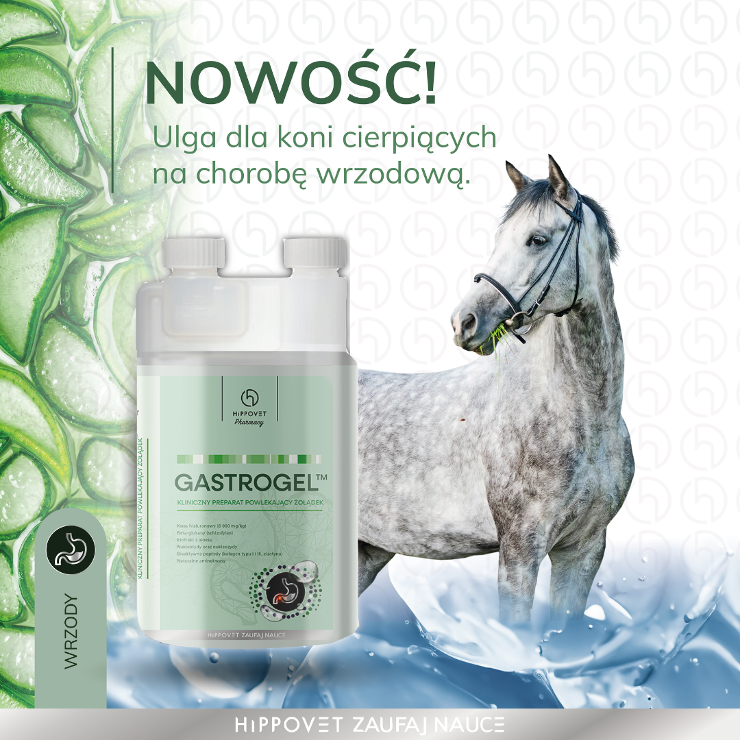HIPPOVET PHARMACY GASTROGEL Suplement na wrzody w formie żelu 1,2l