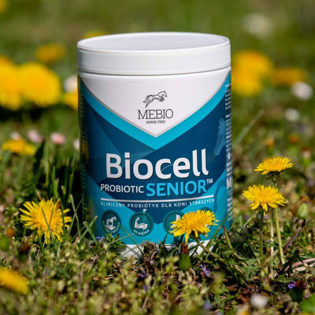 MEBIO BIOCELL SENIOR Kliniczny probiotyk dla koni starszych